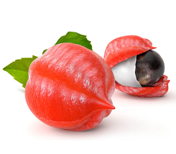 Guaraná e seus benefícios - Saborama